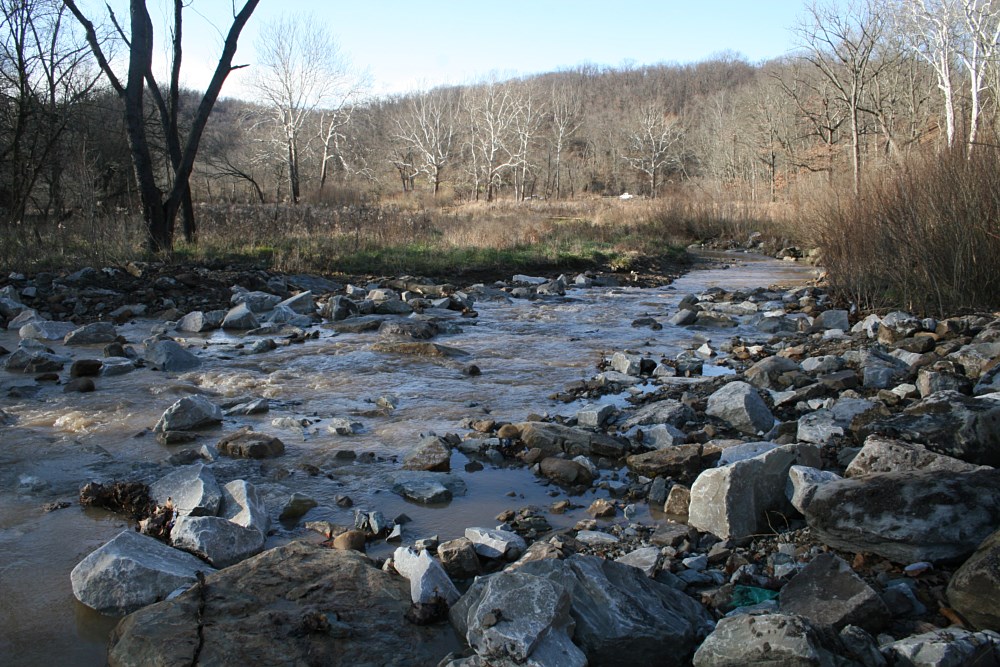 Key Ecological Restoration Projects | Ecological Restoration, Inc