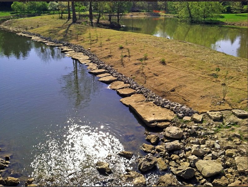 Stream Restoration Services | Ecological Restoration, Inc